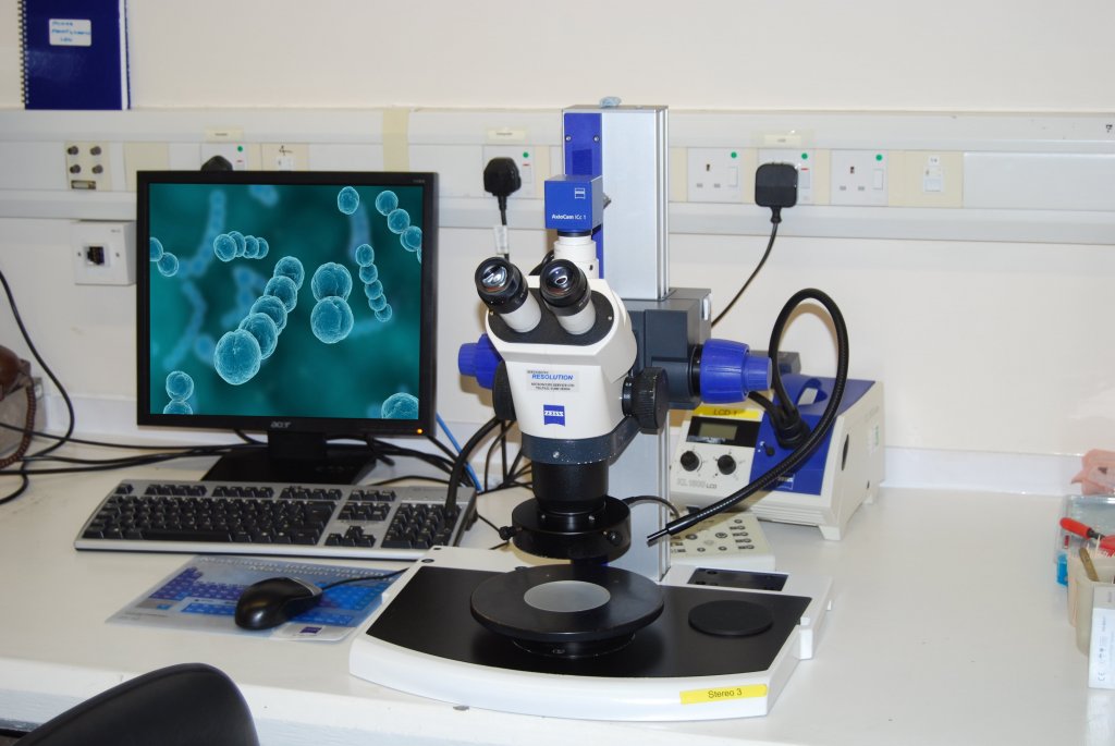 Foreign Body Identification - Premier Analytical Services